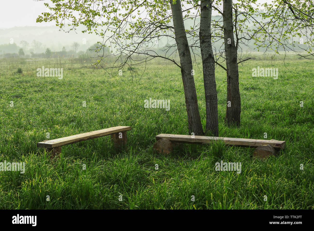 Meadow bench wildflowers hi-res stock photography and images - Alamy