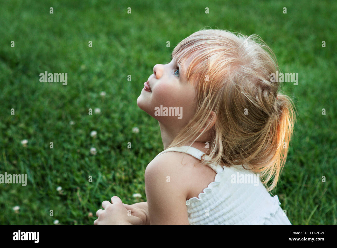 Cute girl looking up while sitting on grassy field Stock Photo - Alamy