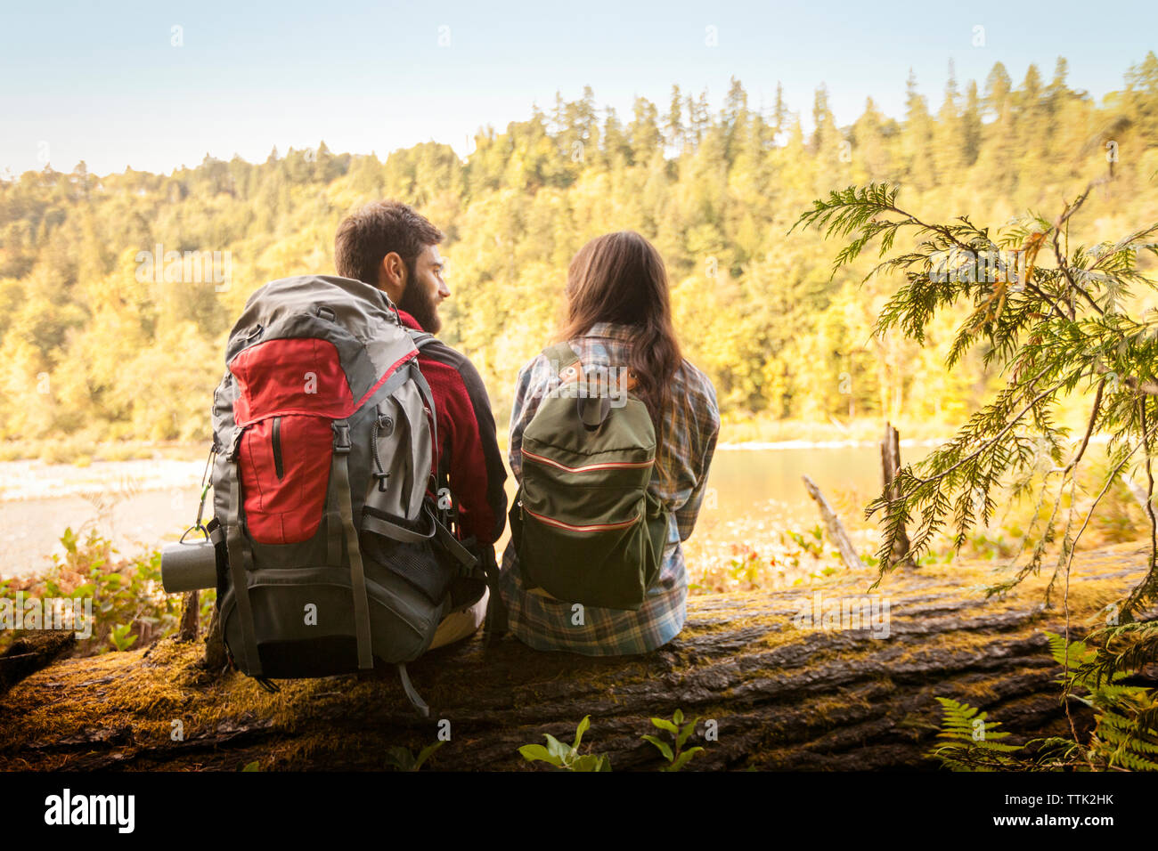 Talking tree hi-res stock photography and images - Alamy