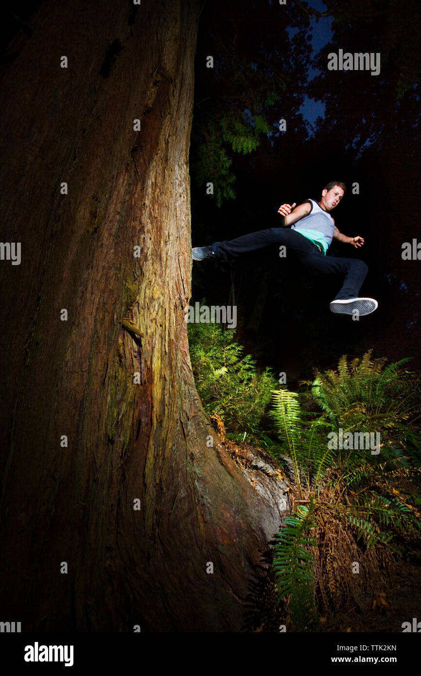 Jumping tree trunk hi-res stock photography and images - Alamy