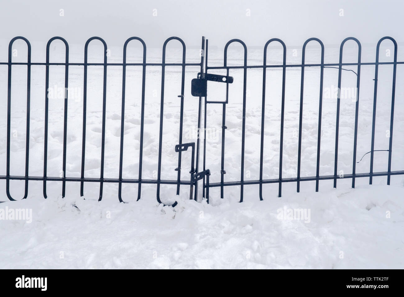 Metal gate to snow-covered field against foggy background in winter ...
