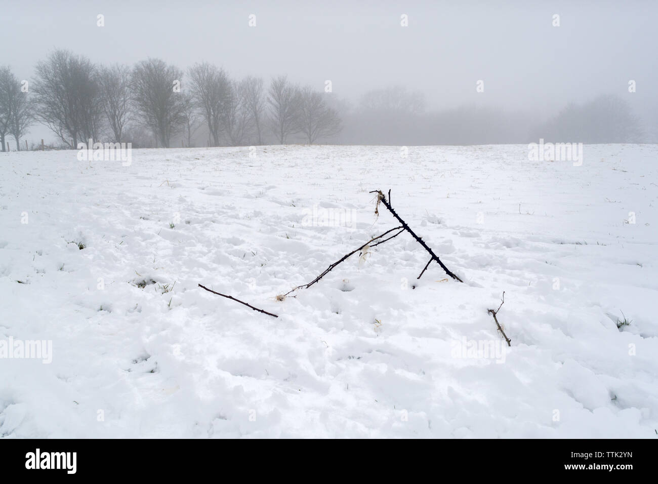 Snow-covered field on hillslope against foggy background Stock Photo ...