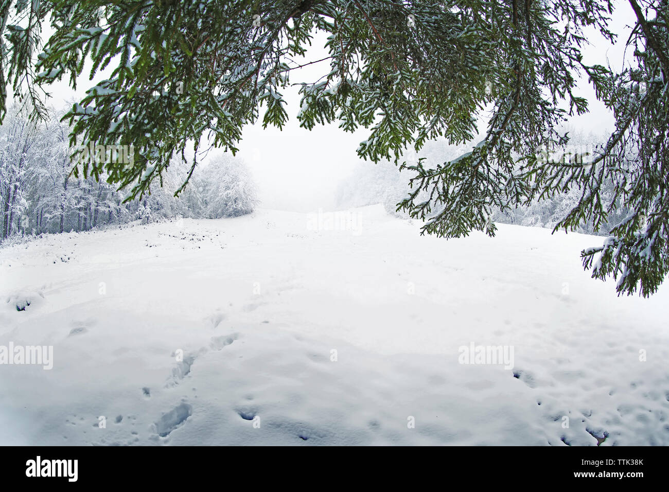 Beautiful winter landscape Stock Photo - Alamy