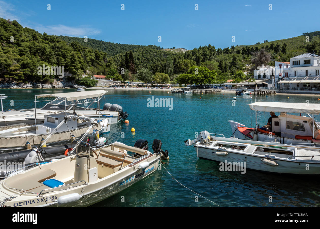 Agnontas Beach, Skopelos, Northern Sporades Greece Stock Photo - Alamy