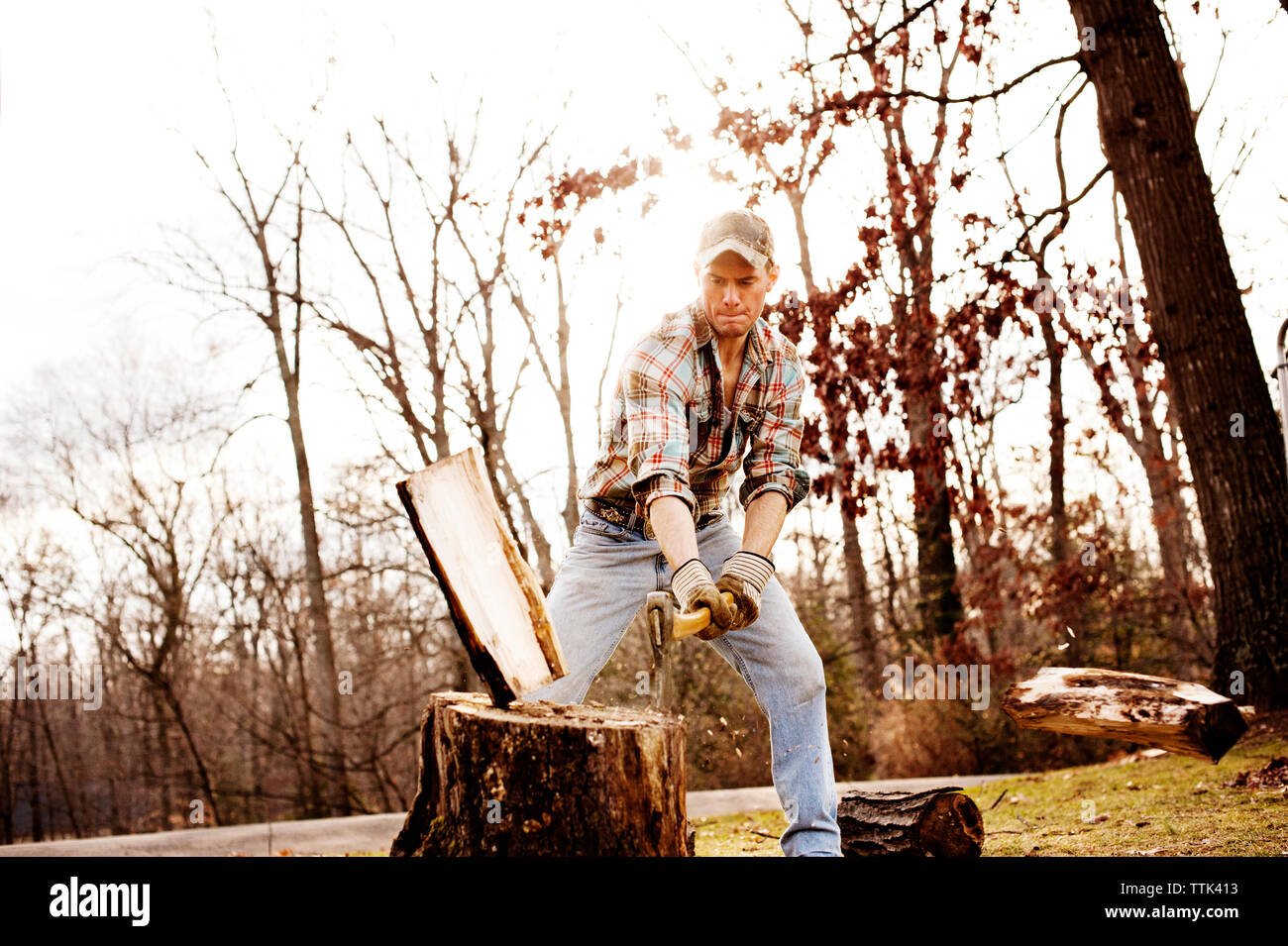 Lumberjack cutting log on tree stump at forest Stock Photo - Alamy