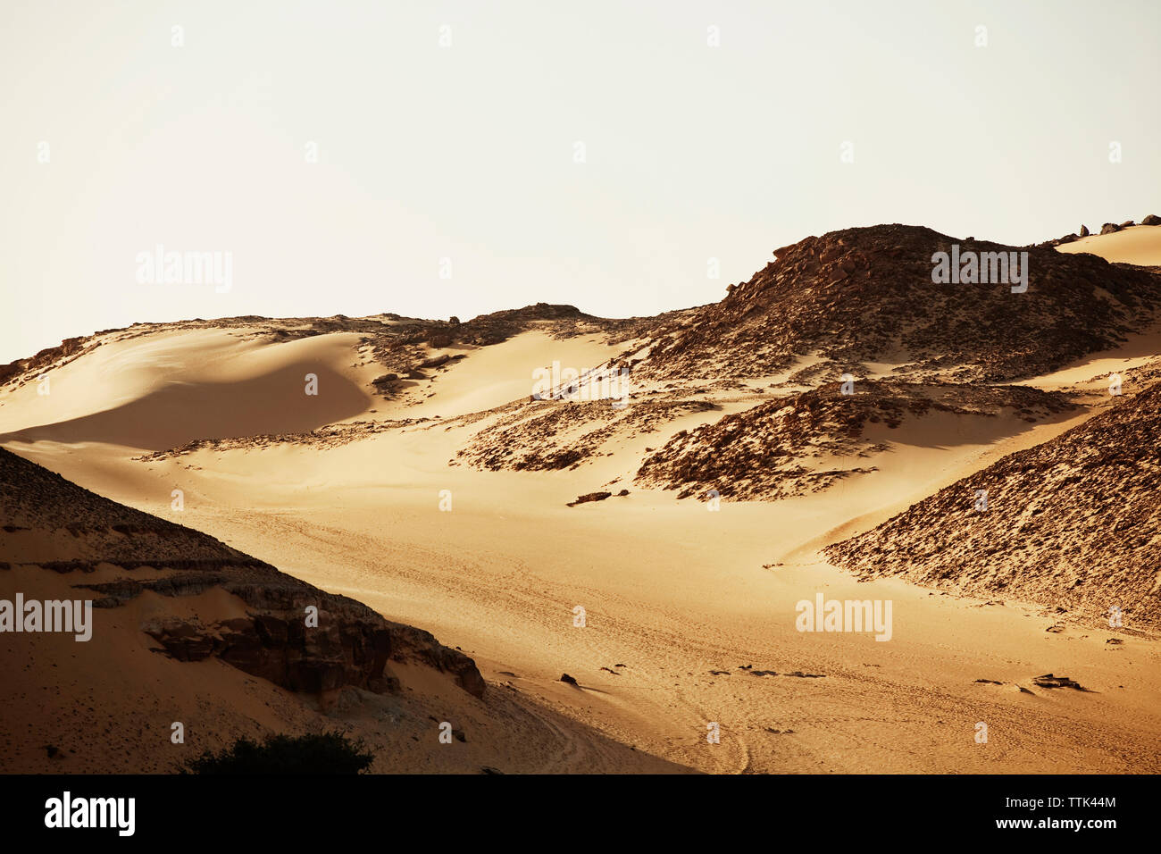 Environment aswan hi-res stock photography and images - Alamy