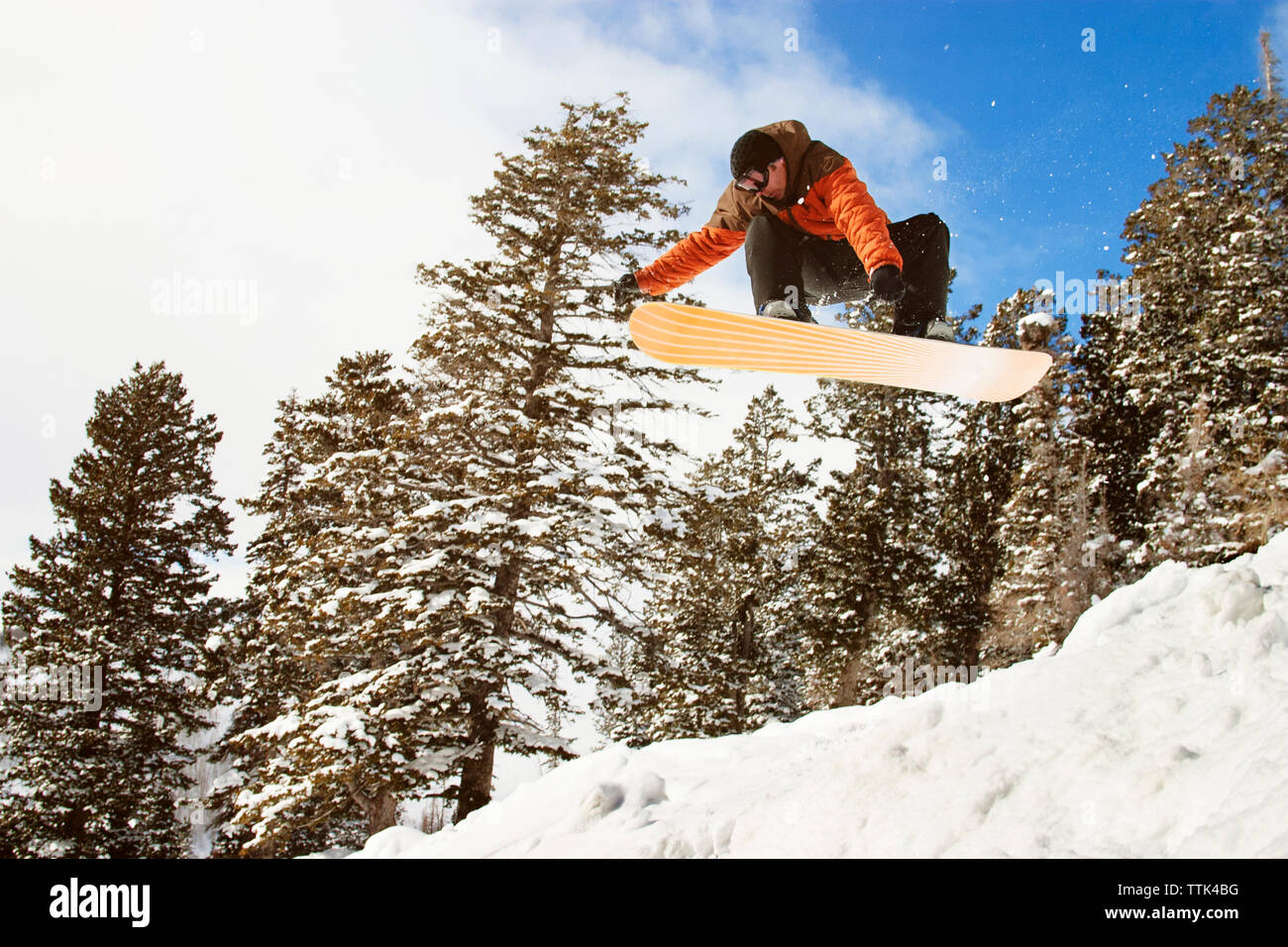Low angle view of man snowboarding over mountain against trees Stock ...