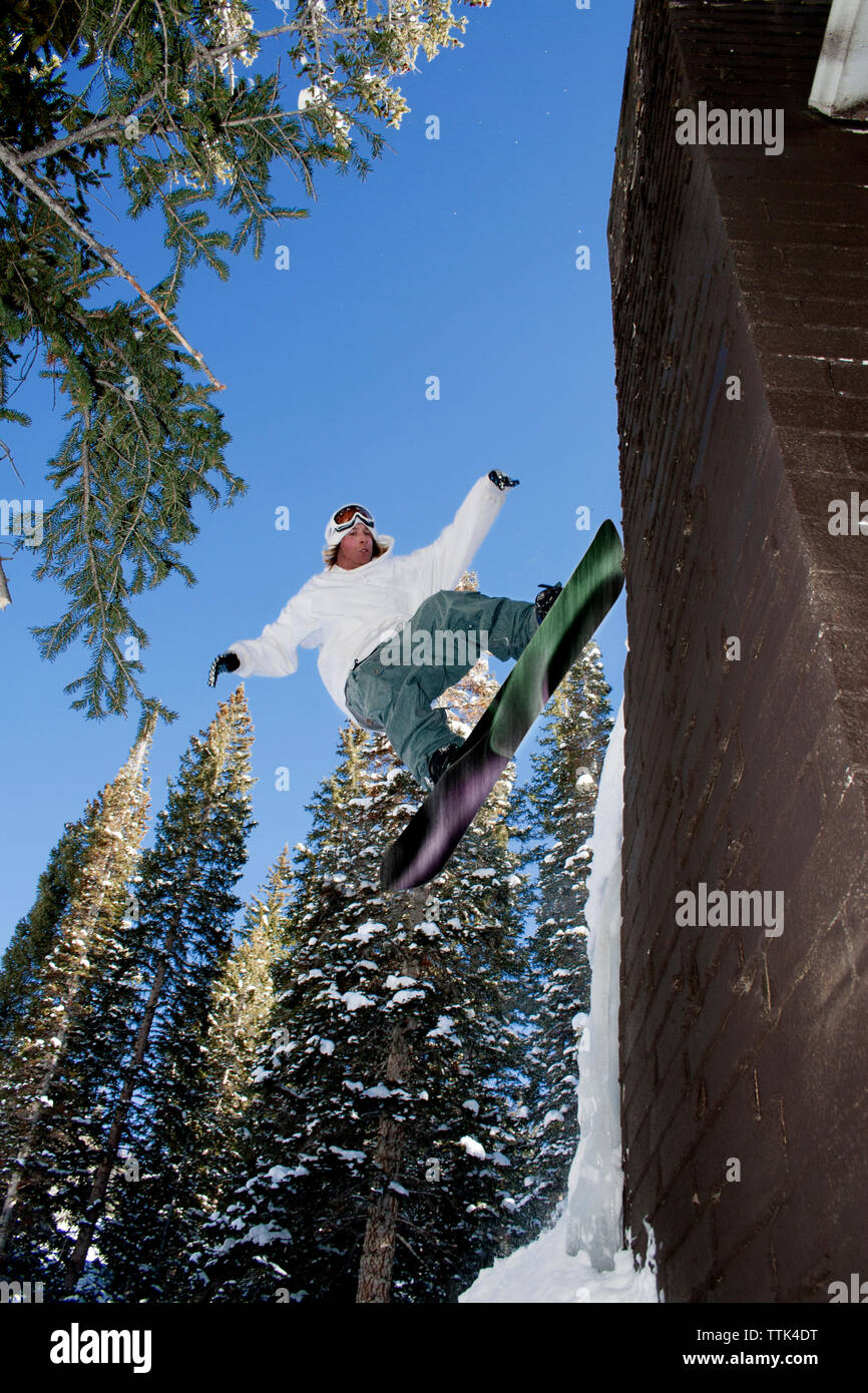 Man snowboarding by wall against trees Stock Photo - Alamy