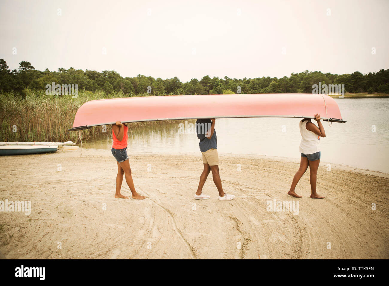 Friends carrying boat by lake against clear sky Stock Photo - Alamy