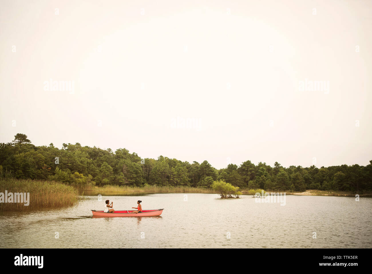 Females rowing a boat together hi-res stock photography and images - Alamy