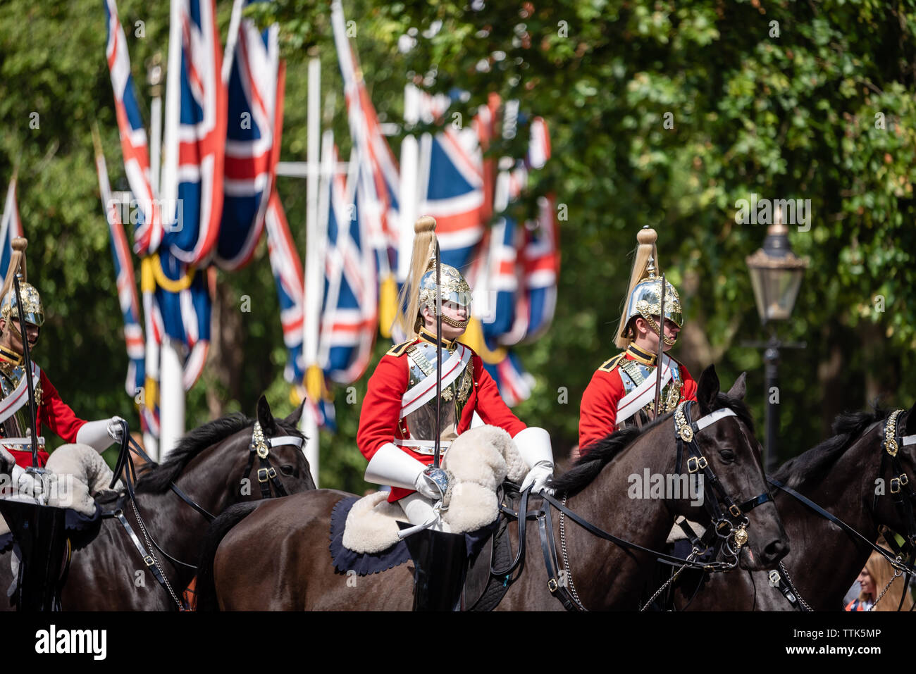 Horses marching band hi-res stock photography and images - Alamy