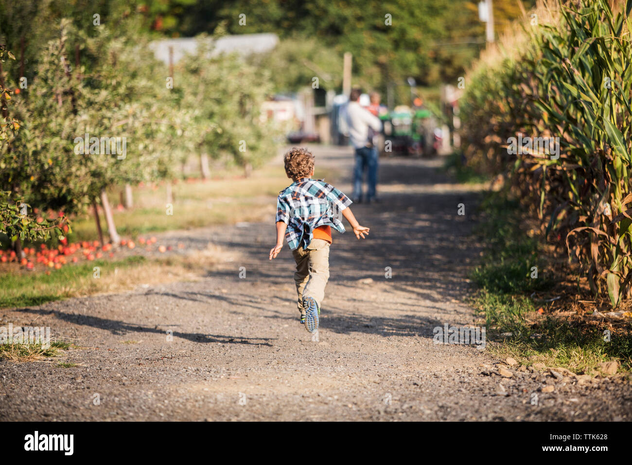 Rear view of boy running on road Stock Photo - Alamy