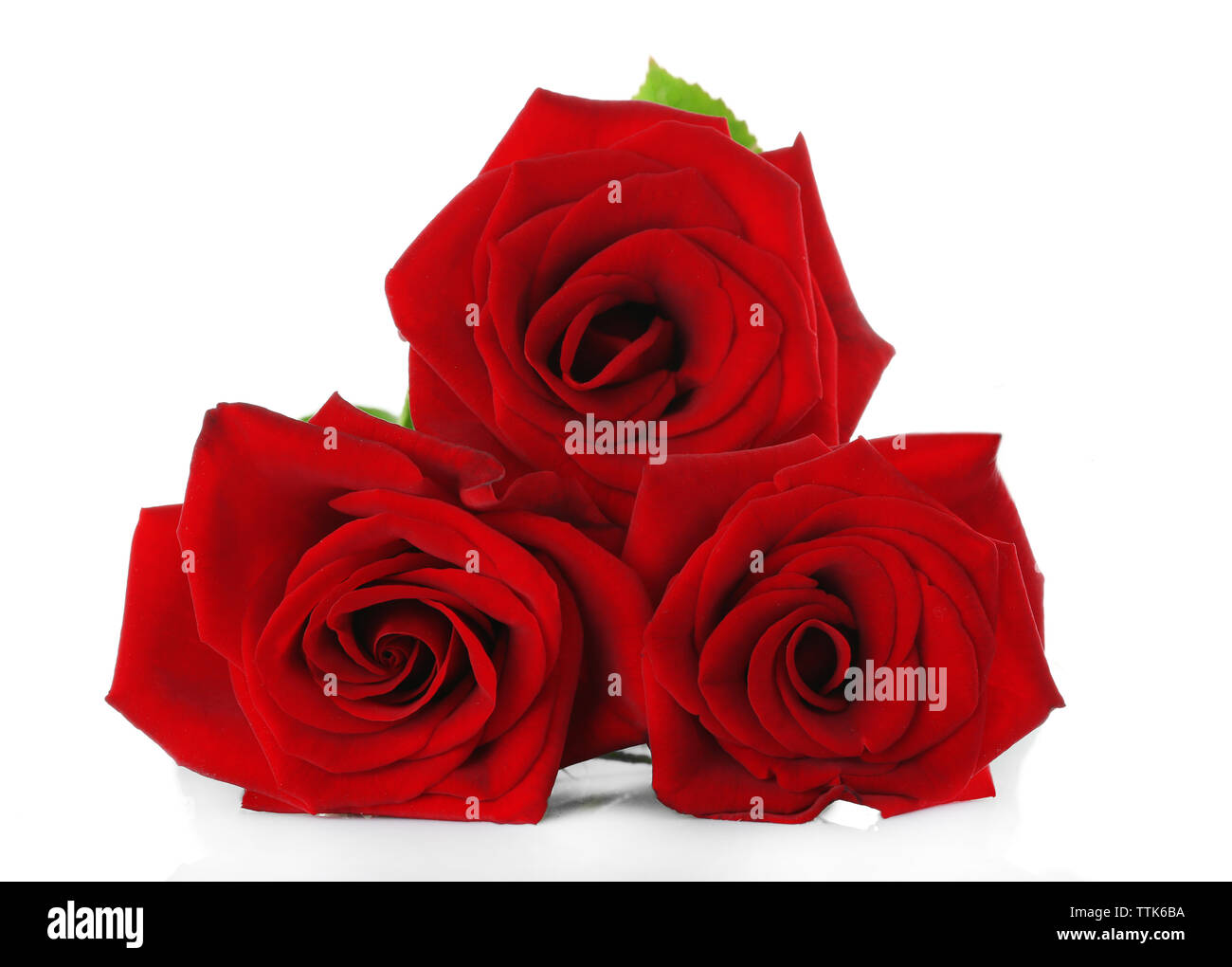 Three red roses on white background Stock Photo - Alamy