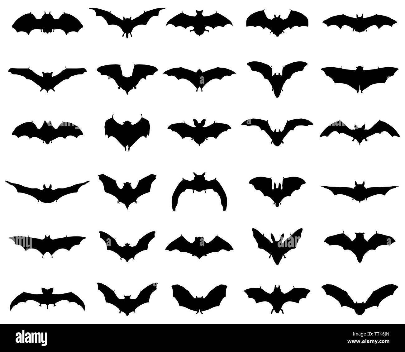 Big black bat Cut Out Stock Images & Pictures - Alamy