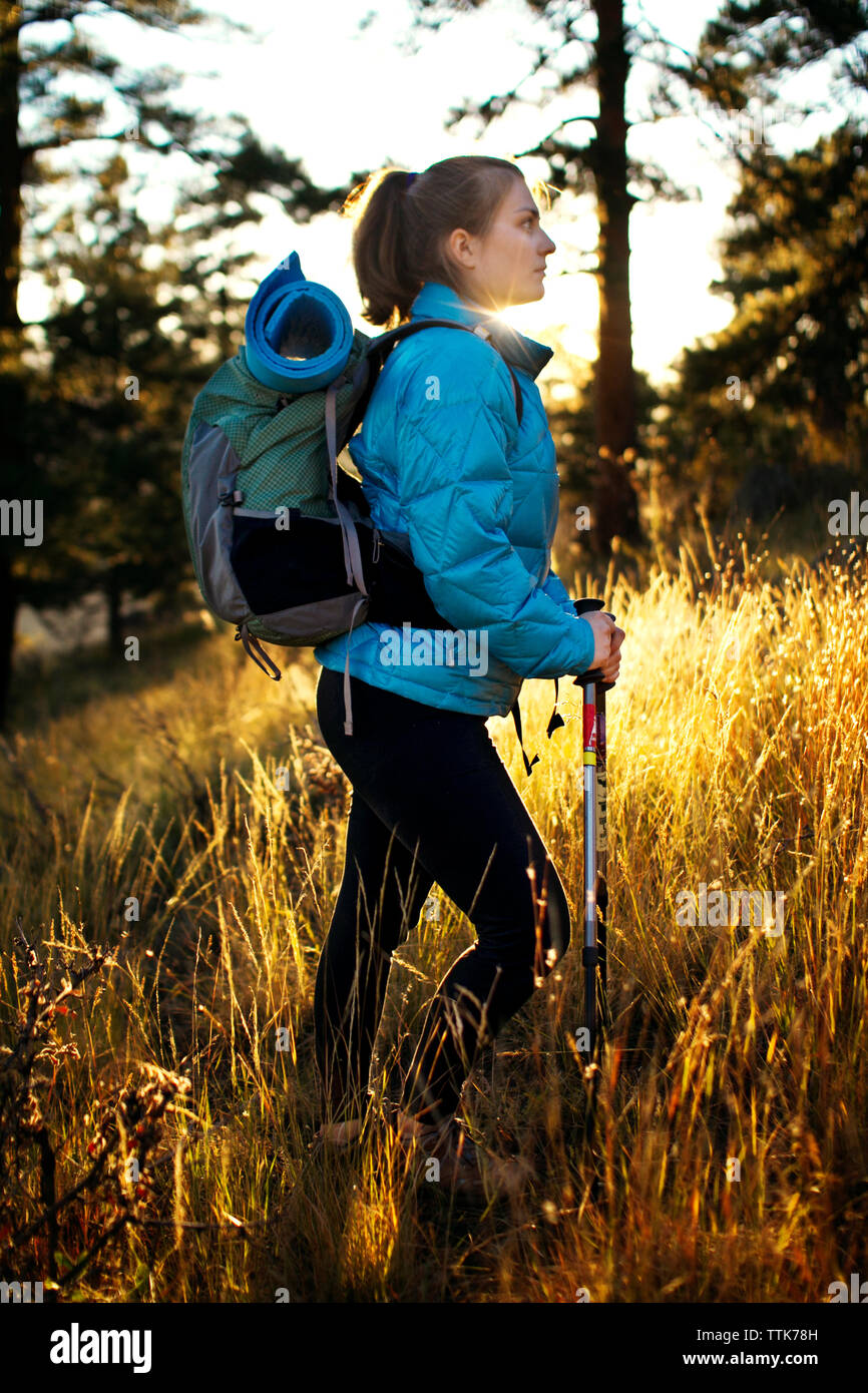 Profile view person standing field sunset hi-res stock photography and ...