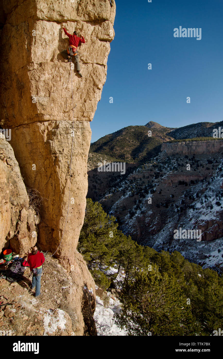 Men climbing trees hi-res stock photography and images - Alamy