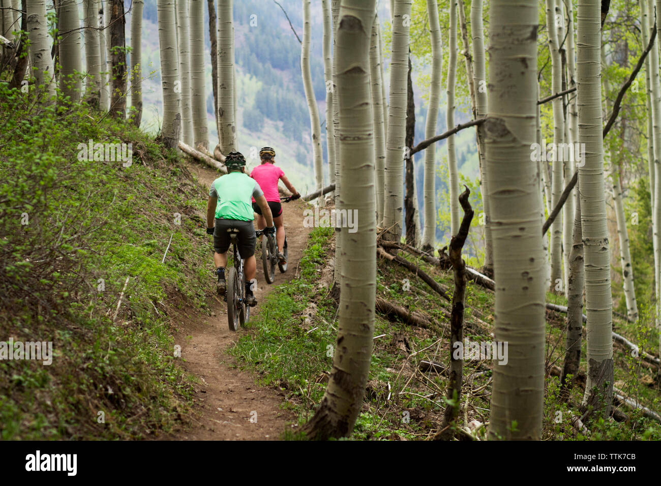 Cyclists rear view hi-res stock photography and images - Alamy