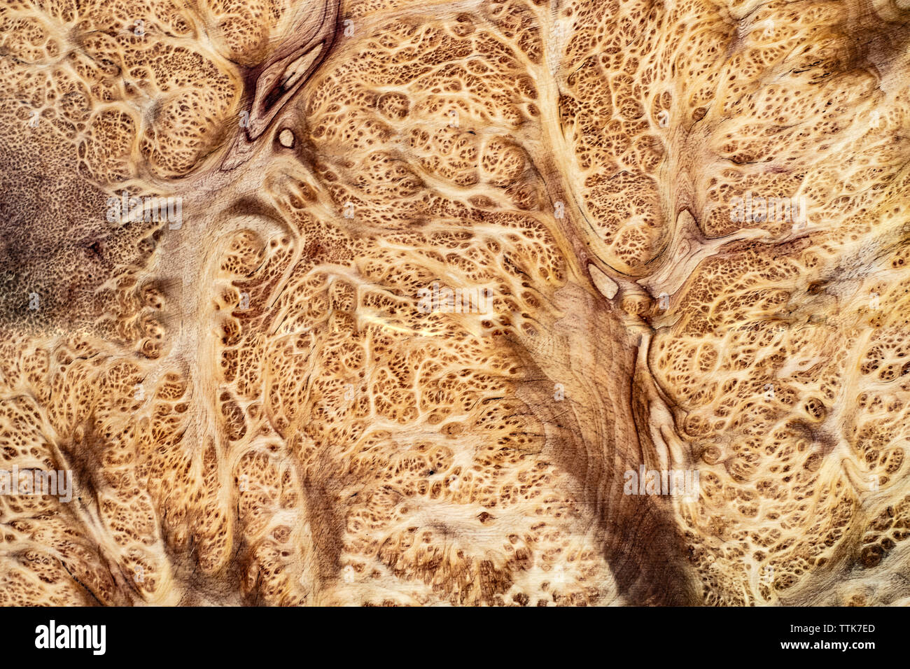 Walnut veneer car hi-res stock photography and images - Alamy