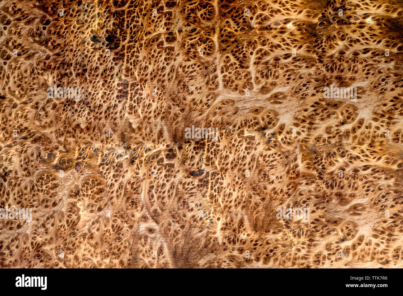 Real burl wood striped for Picture prints interior decoration car ...