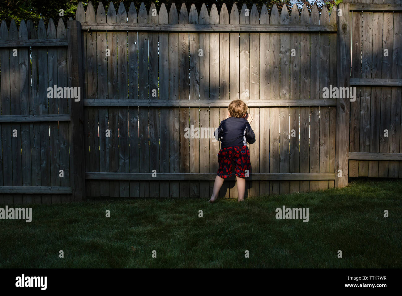 Peeking through fence hi-res stock photography and images - Alamy