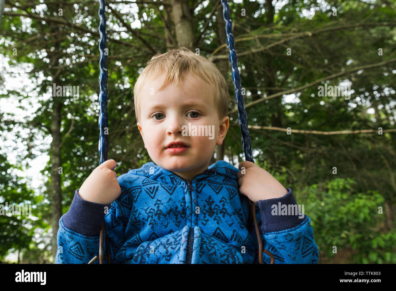 Portrait of cute boy swinging on swing against trees at playground ...
