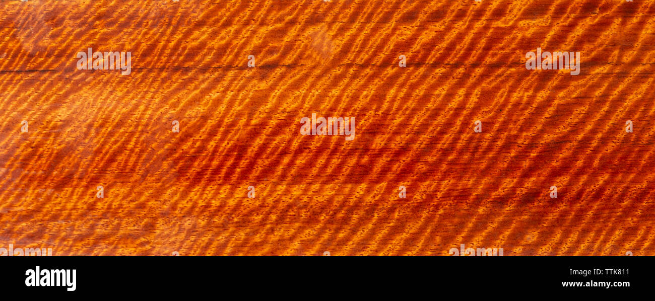 Tiger wooden texture hi-res stock photography and images - Alamy