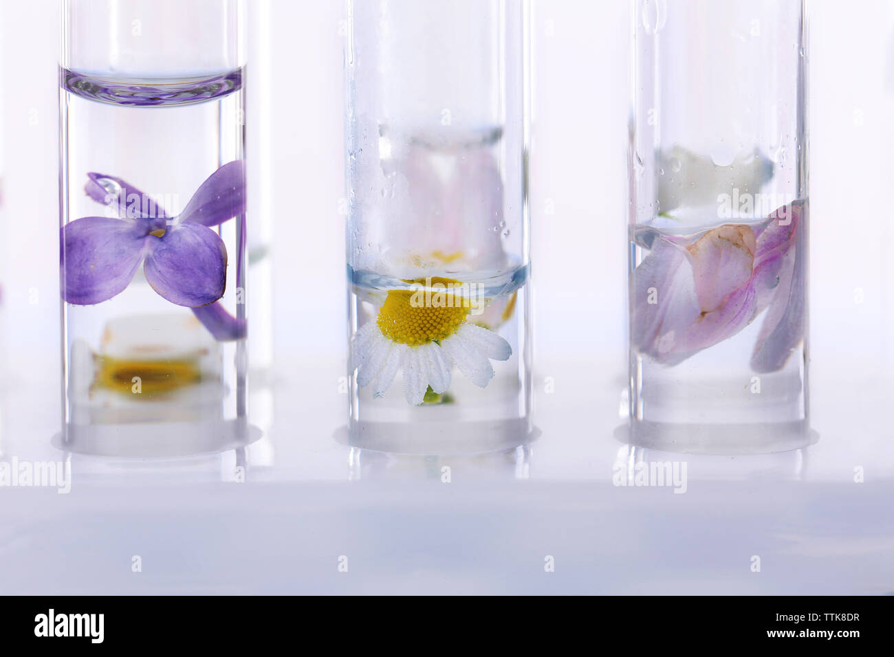 Process of making perfumes Stock Photo - Alamy