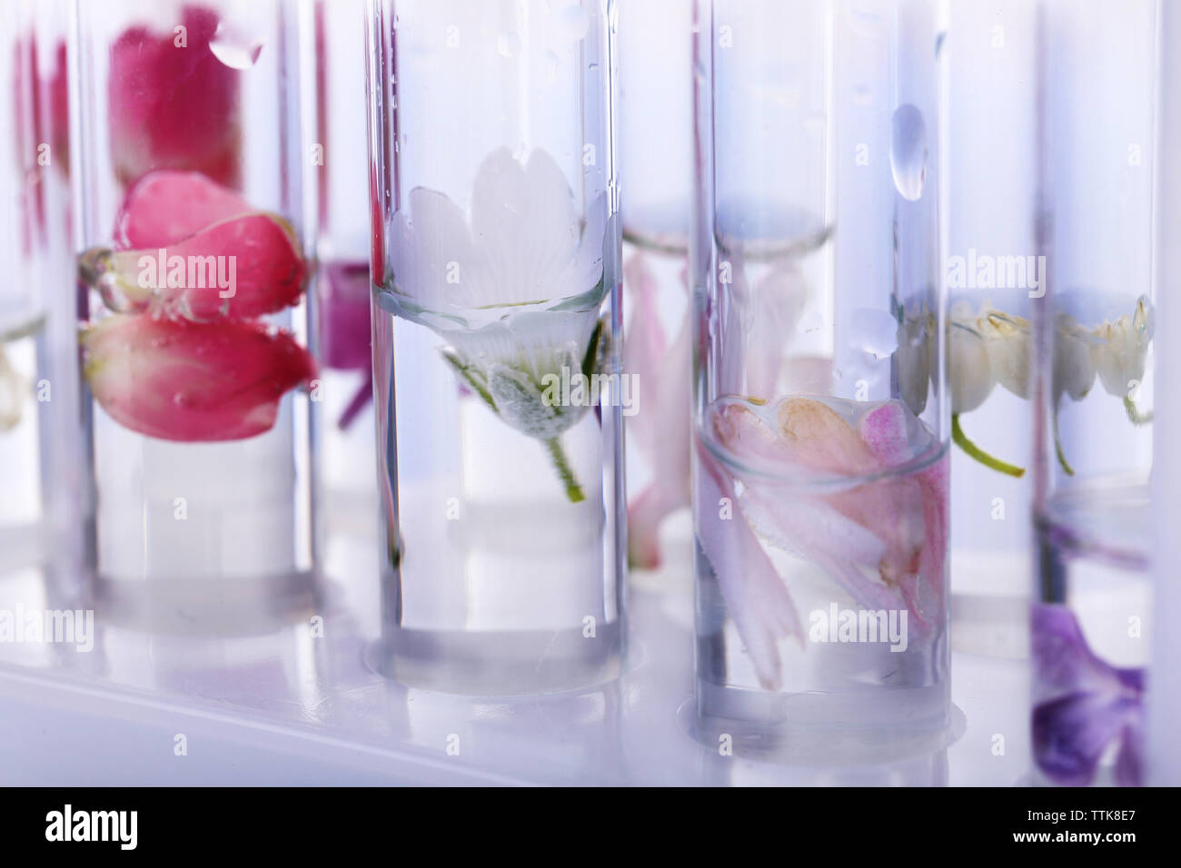 Process of making perfumes Stock Photo - Alamy