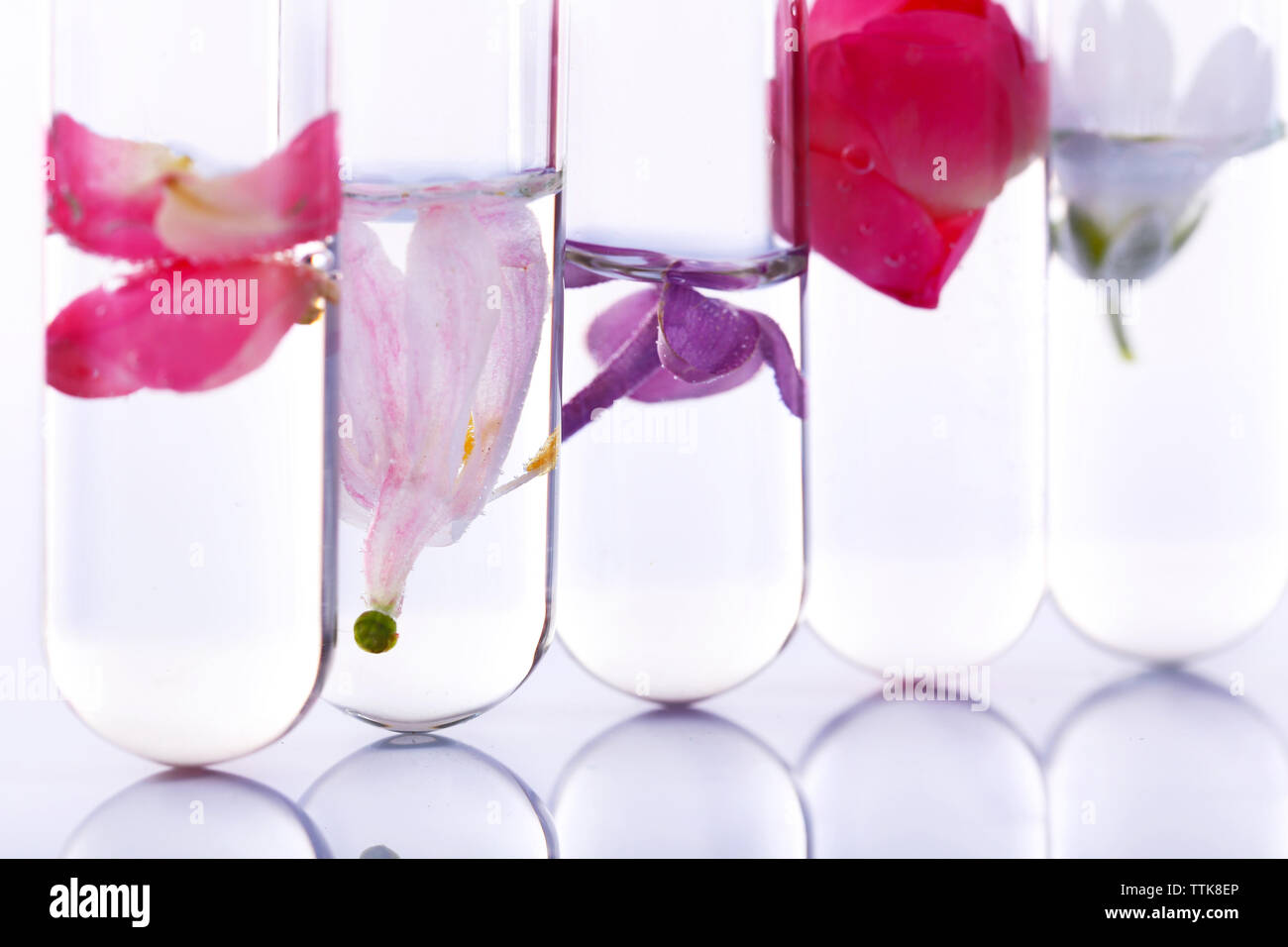 Process of making perfumes Stock Photo - Alamy
