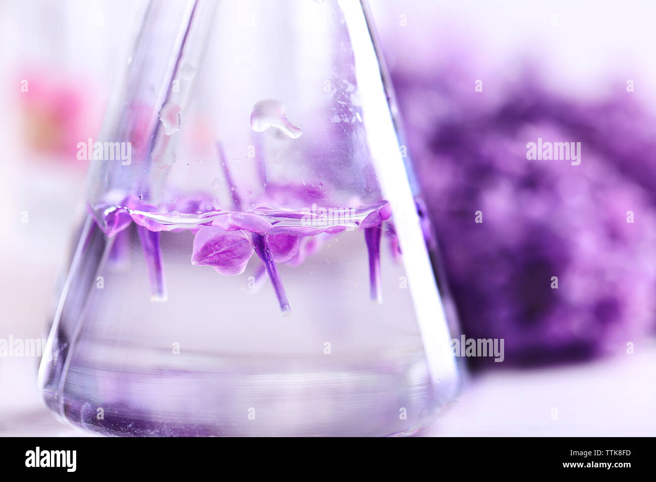 Process of making perfumes Stock Photo - Alamy