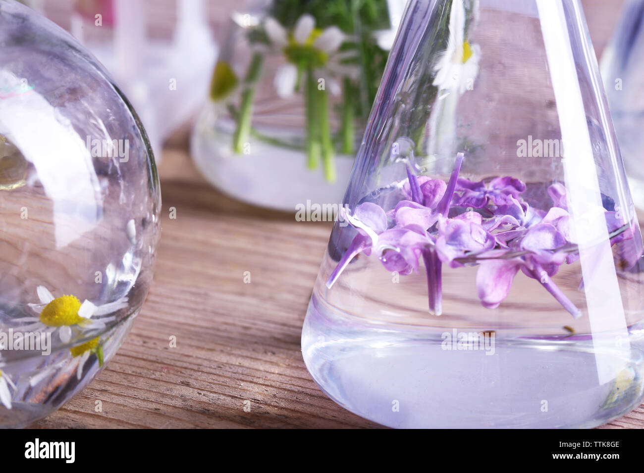 Process of making perfumes Stock Photo - Alamy