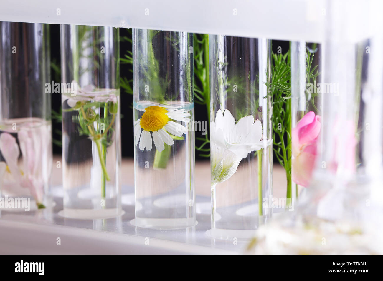 Process of making perfumes Stock Photo - Alamy