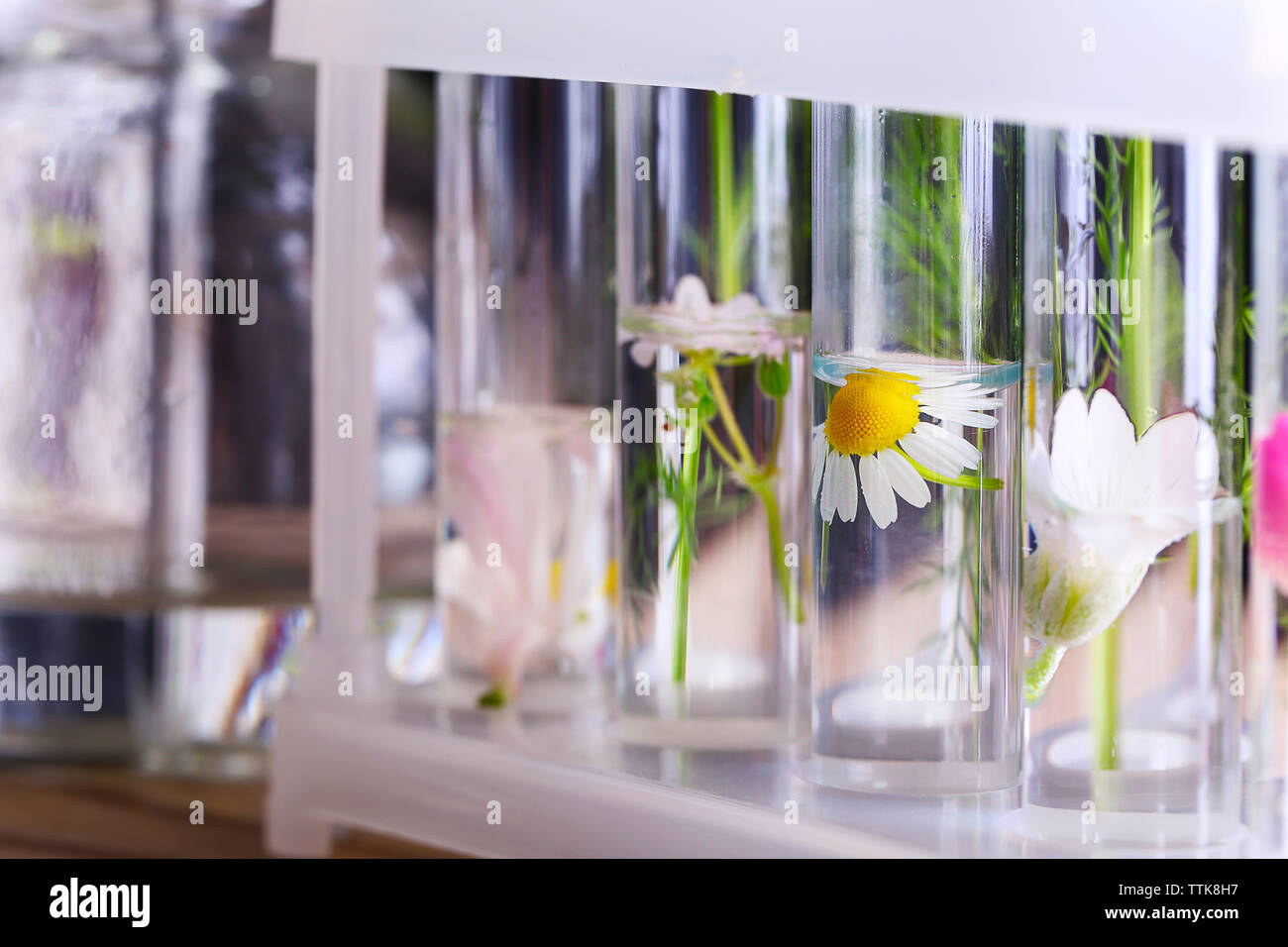 Process of making perfumes Stock Photo - Alamy