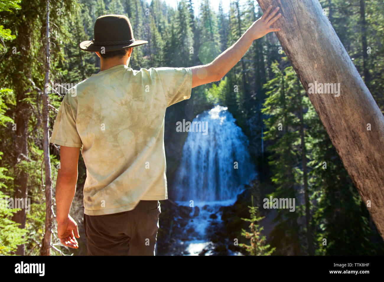 Old man at tree trunk hi-res stock photography and images - Alamy