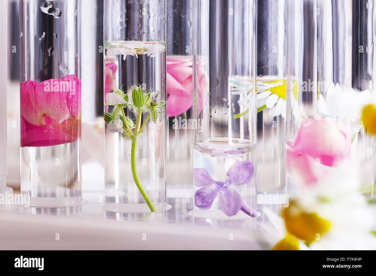 Process of making perfumes Stock Photo - Alamy
