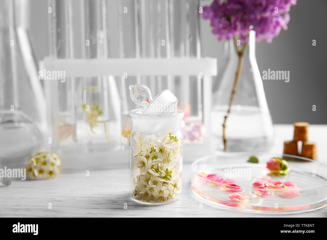 Process of making perfumes Stock Photo - Alamy