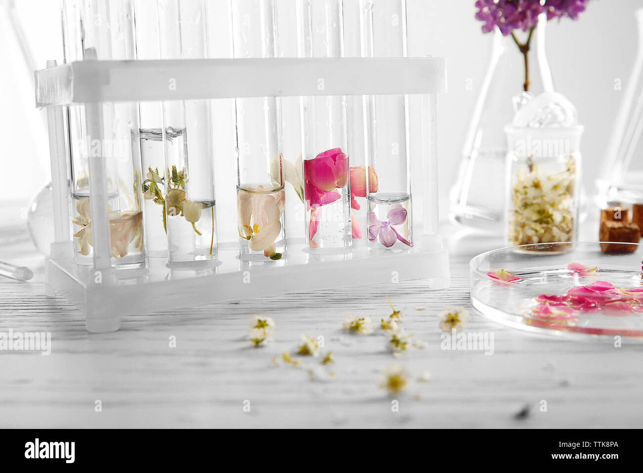 Process of making perfumes Stock Photo - Alamy