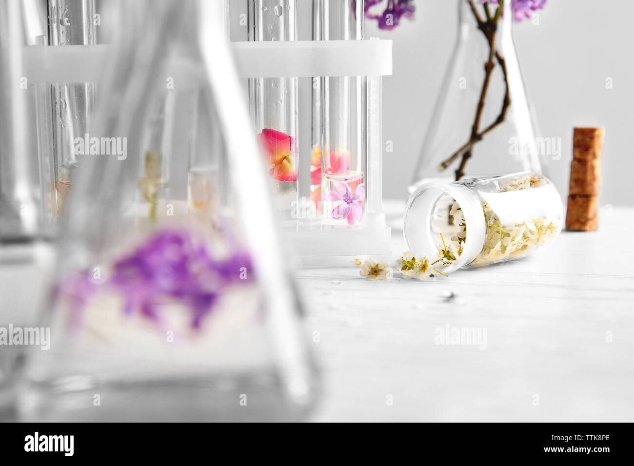 Process of making perfumes Stock Photo - Alamy