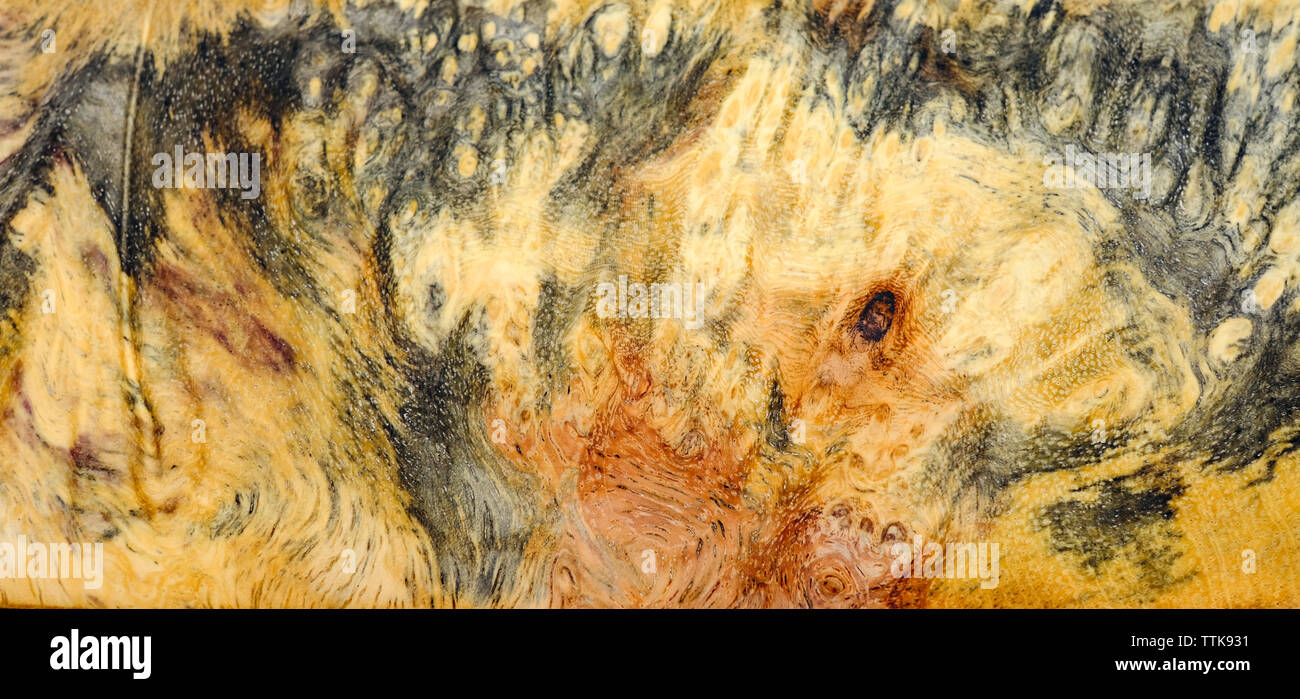 Real burl wood striped for Picture prints interior decoration, Exotic ...