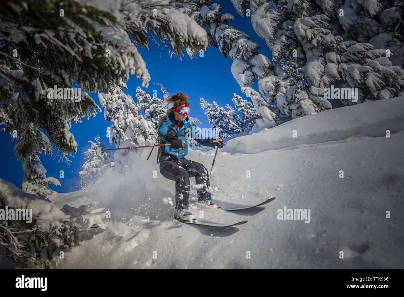 Woman skiing down Red Heather, Squamish, in powder between trees Stock ...