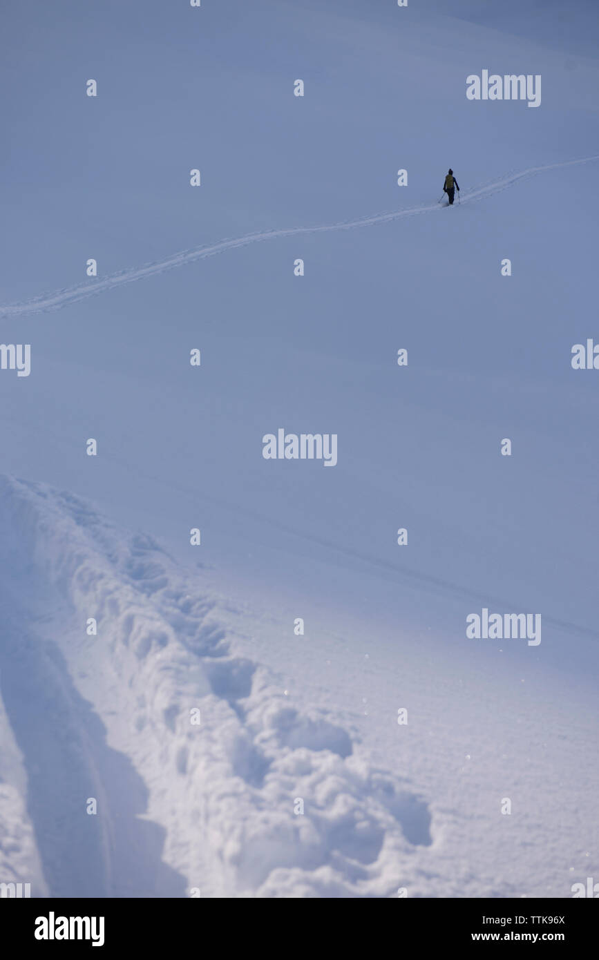 Skinning hi-res stock photography and images - Alamy