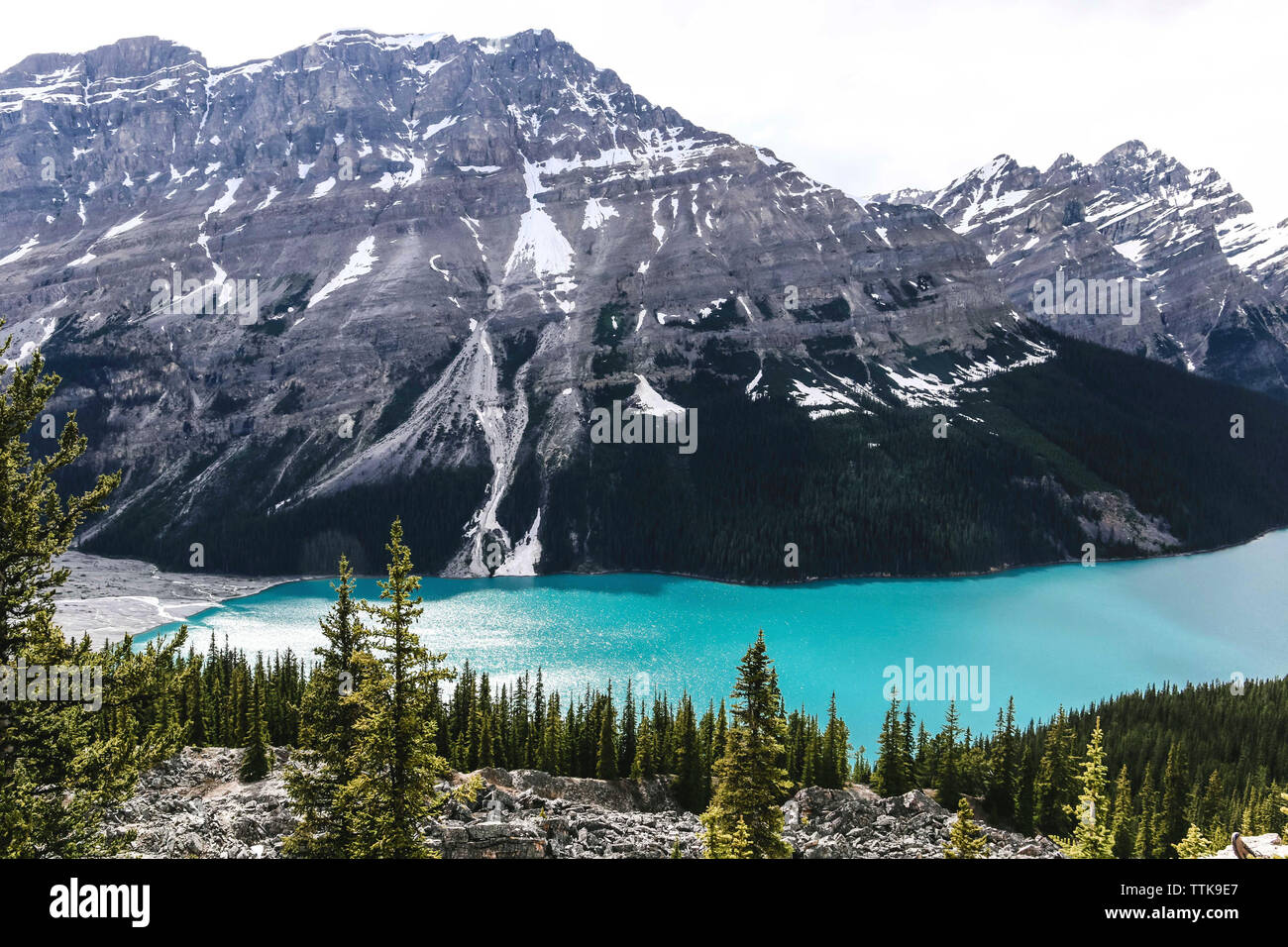 High angle view of Peyto Lake against mountains at Banff National Park ...
