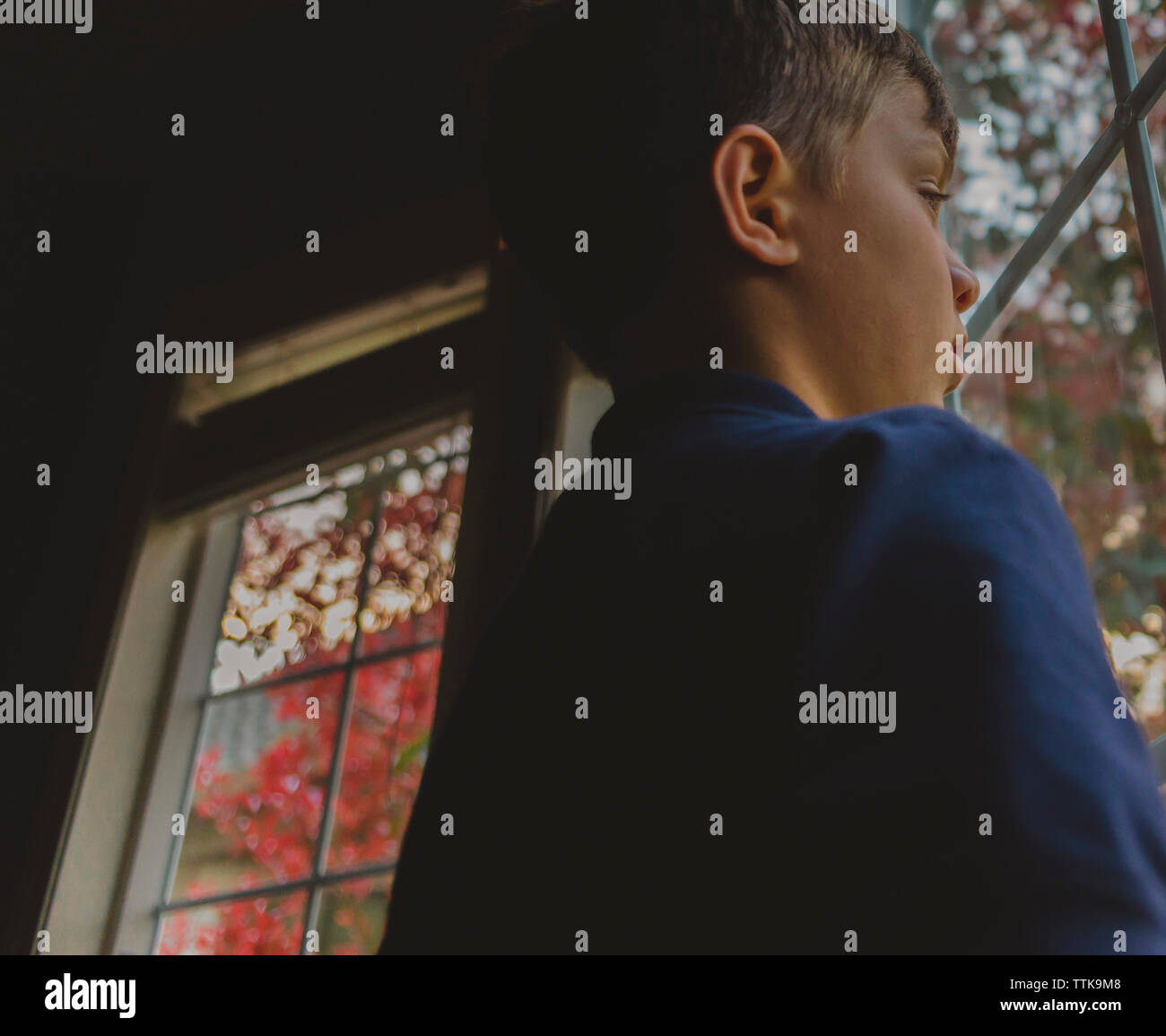 Boy and window hi-res stock photography and images - Alamy
