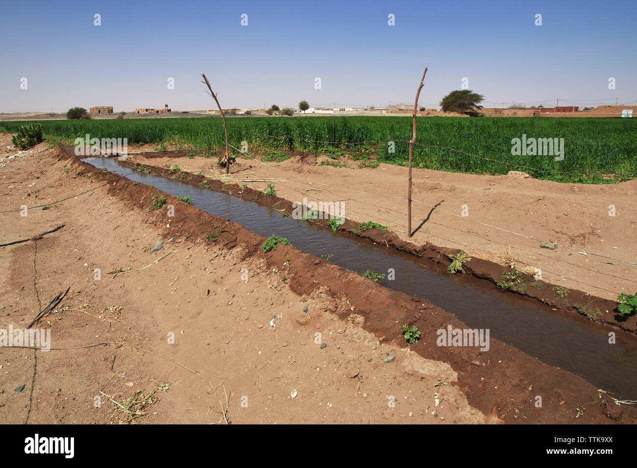 Sudan village on Nile river Stock Photo - Alamy