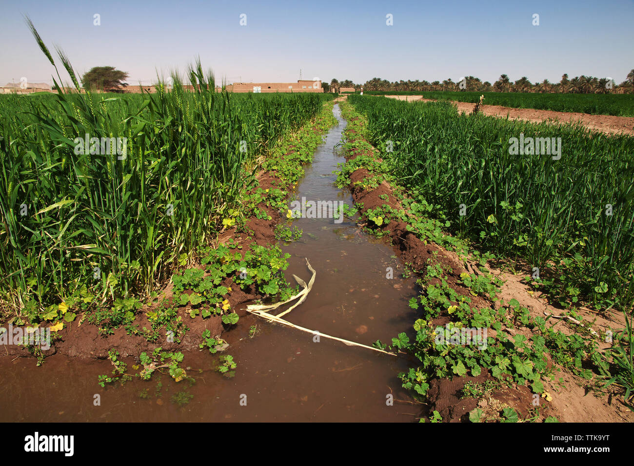 Sudan village on Nile river Stock Photo - Alamy