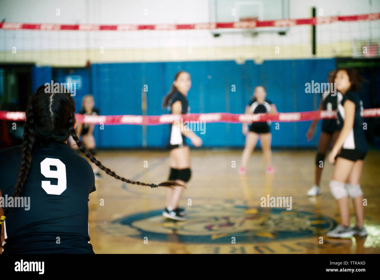 Volleyball team on court hi-res stock photography and images - Alamy