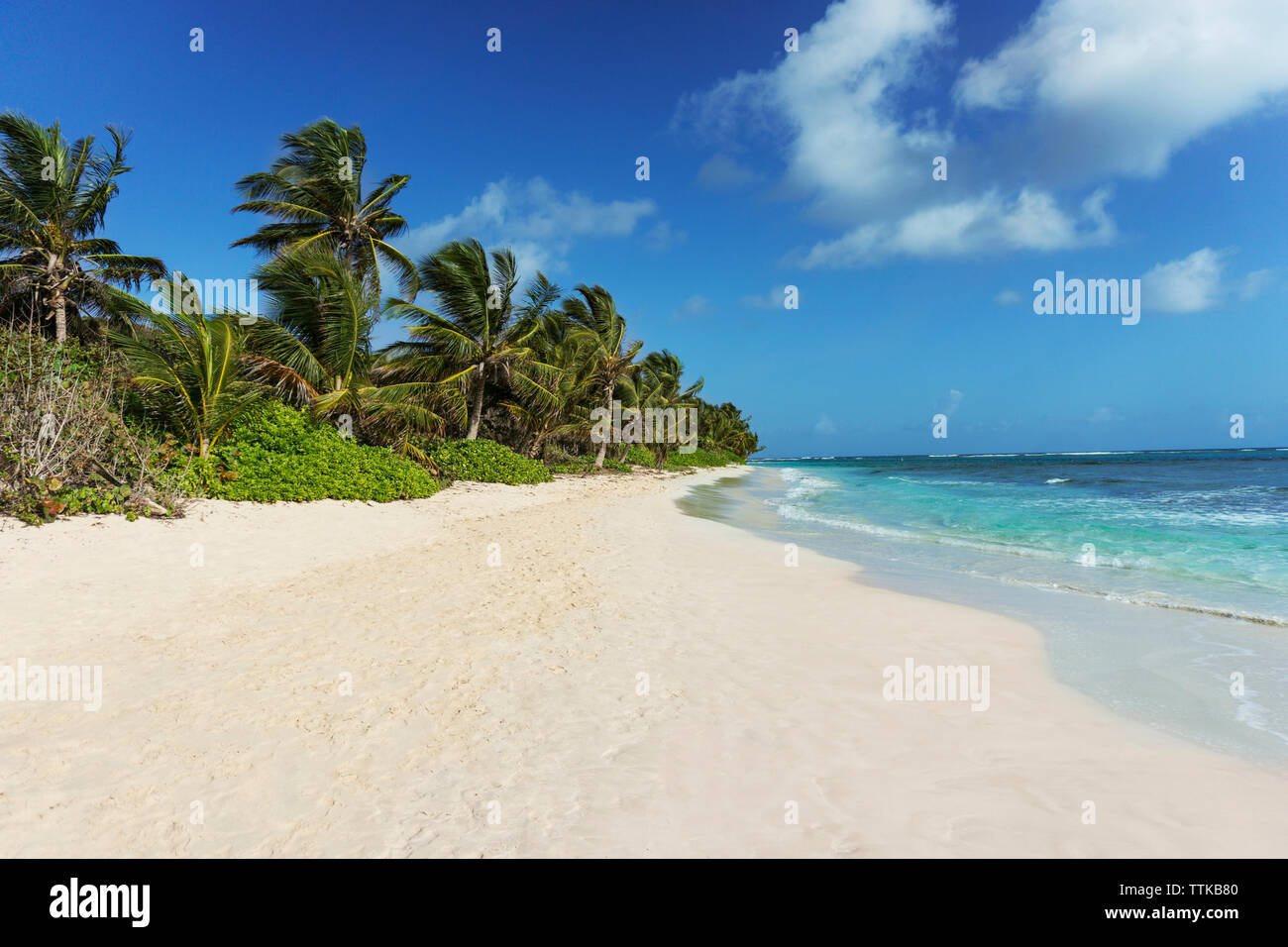 El yunque national forest beach hi-res stock photography and images - Alamy
