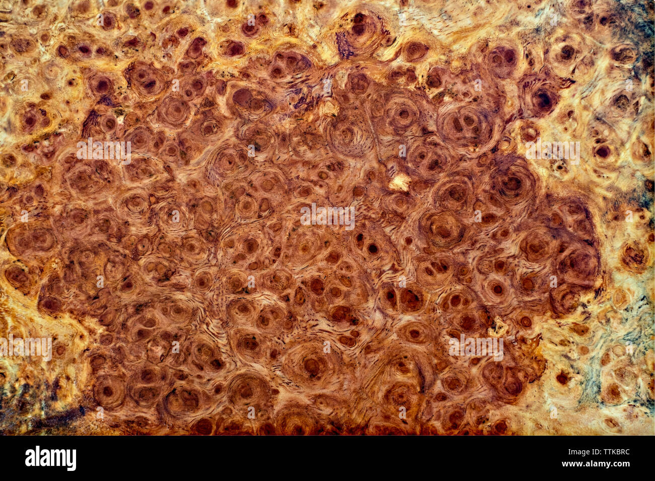 Real burl wood striped for Picture prints interior decoration car ...