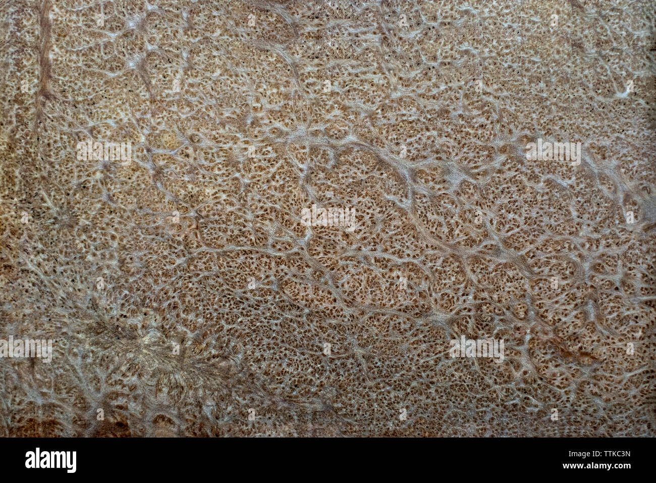 Real burl wood striped for Picture prints interior decoration car ...