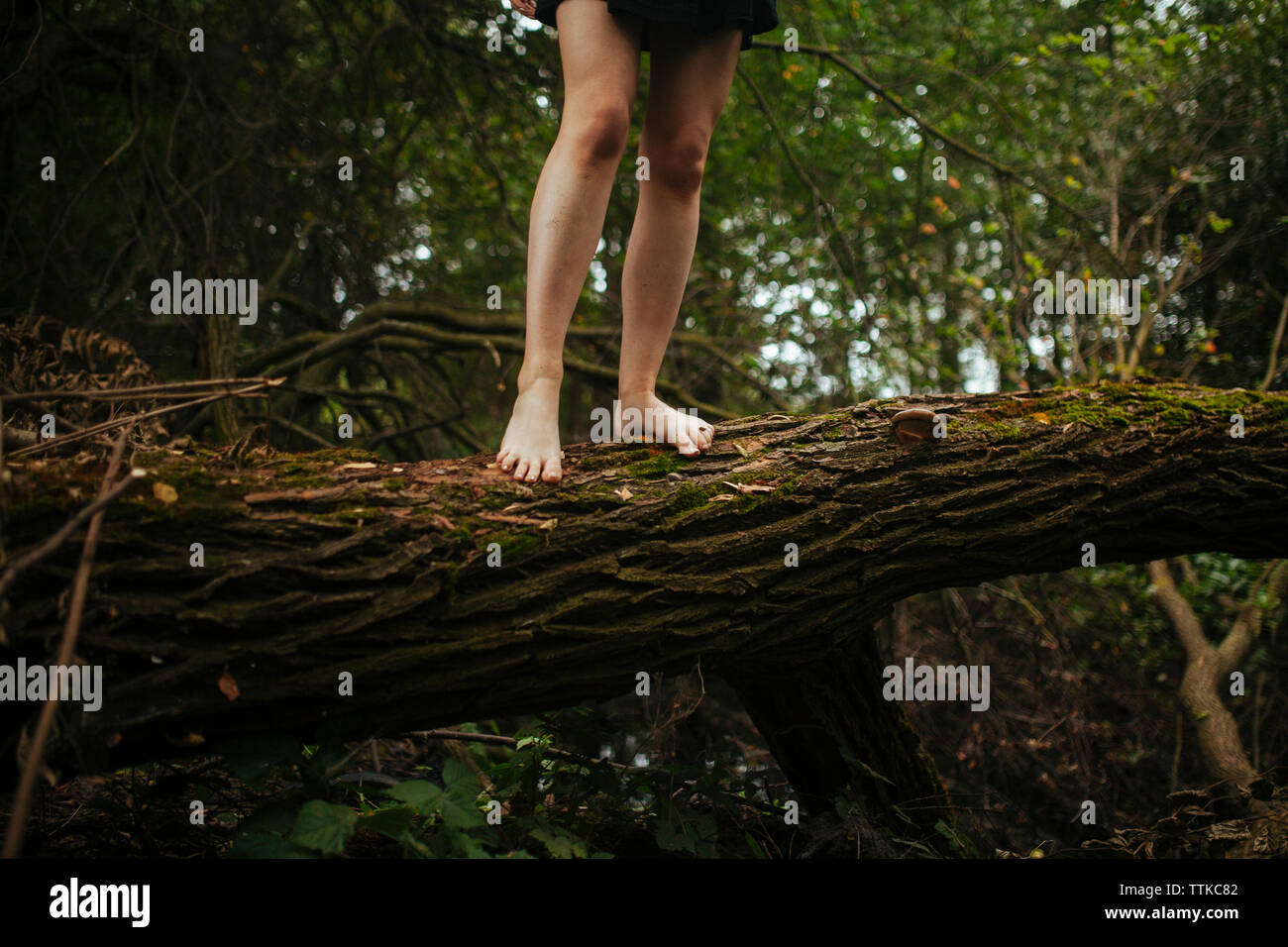 legs of a girl standing on a tree Stock Photo - Alamy